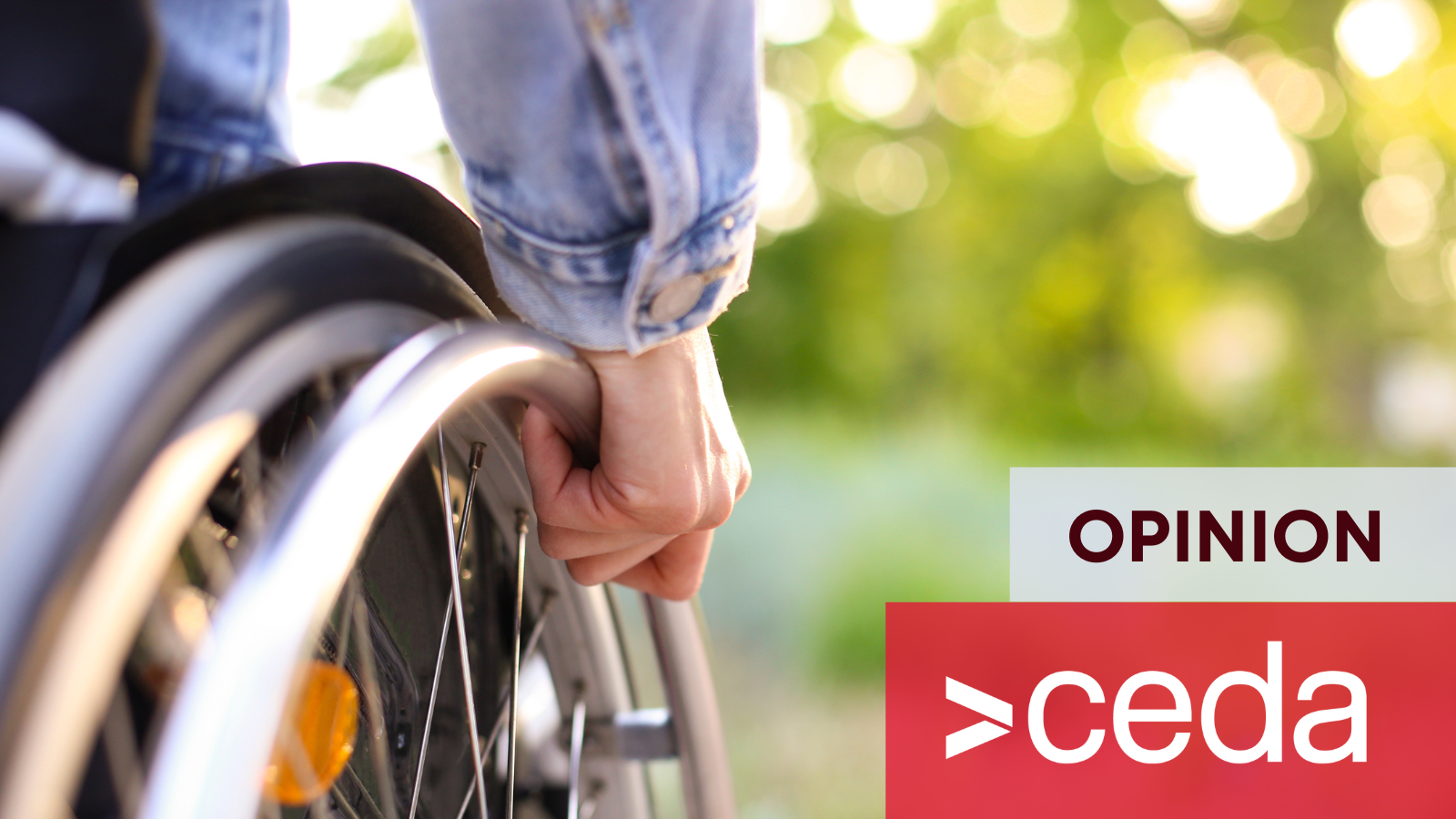 CEDA - Navigating the complexity of disability services in Australia