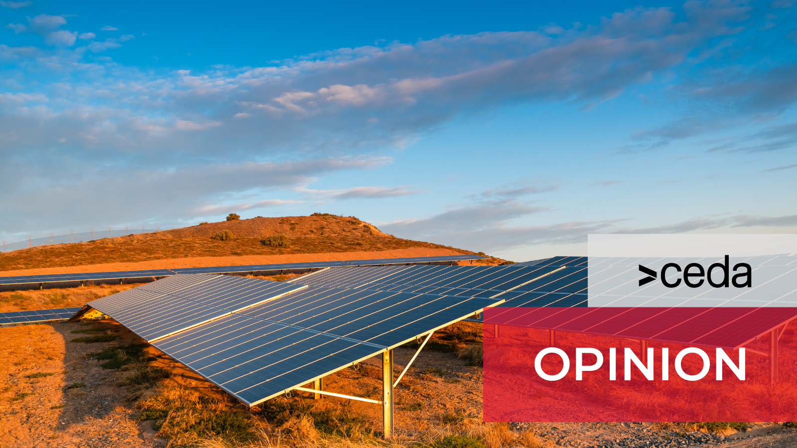 CEDA - Making net zero a reality