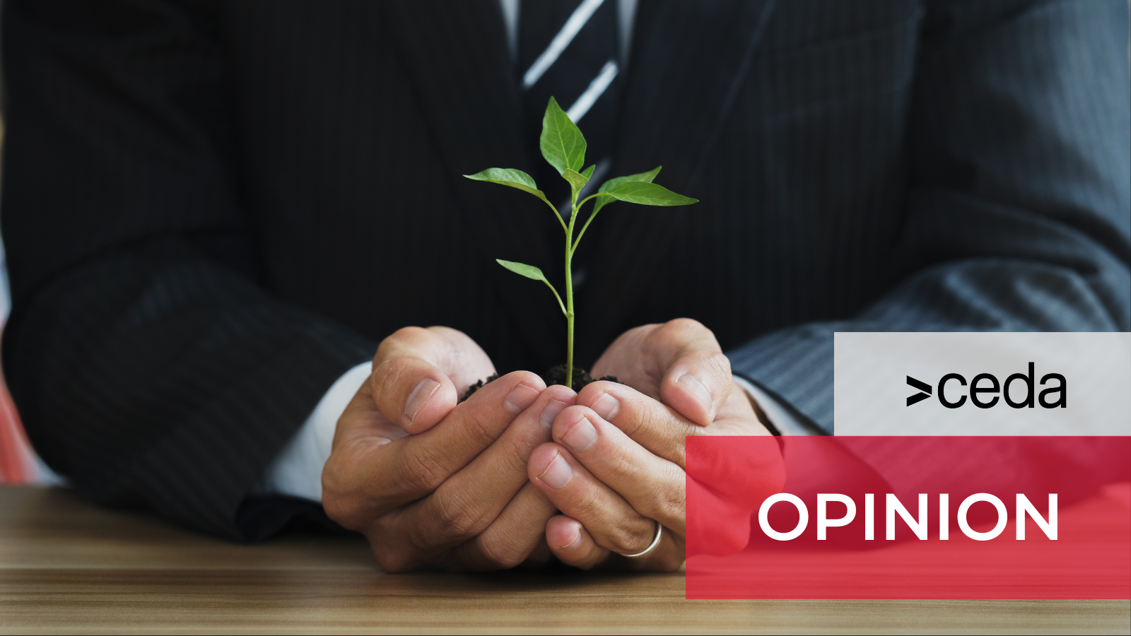 CEDA - The cost of silence: Why senior leaders must rethink their approach to sustainability ...