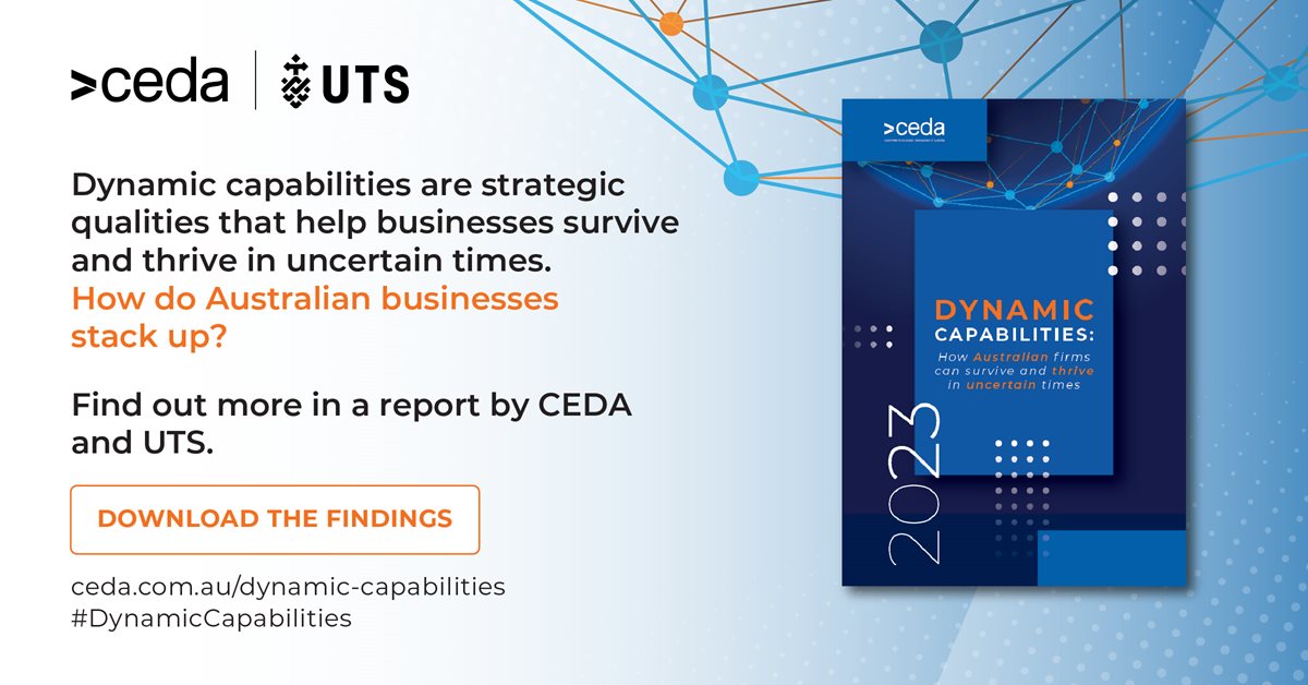 CEDA - Dynamic capabilities