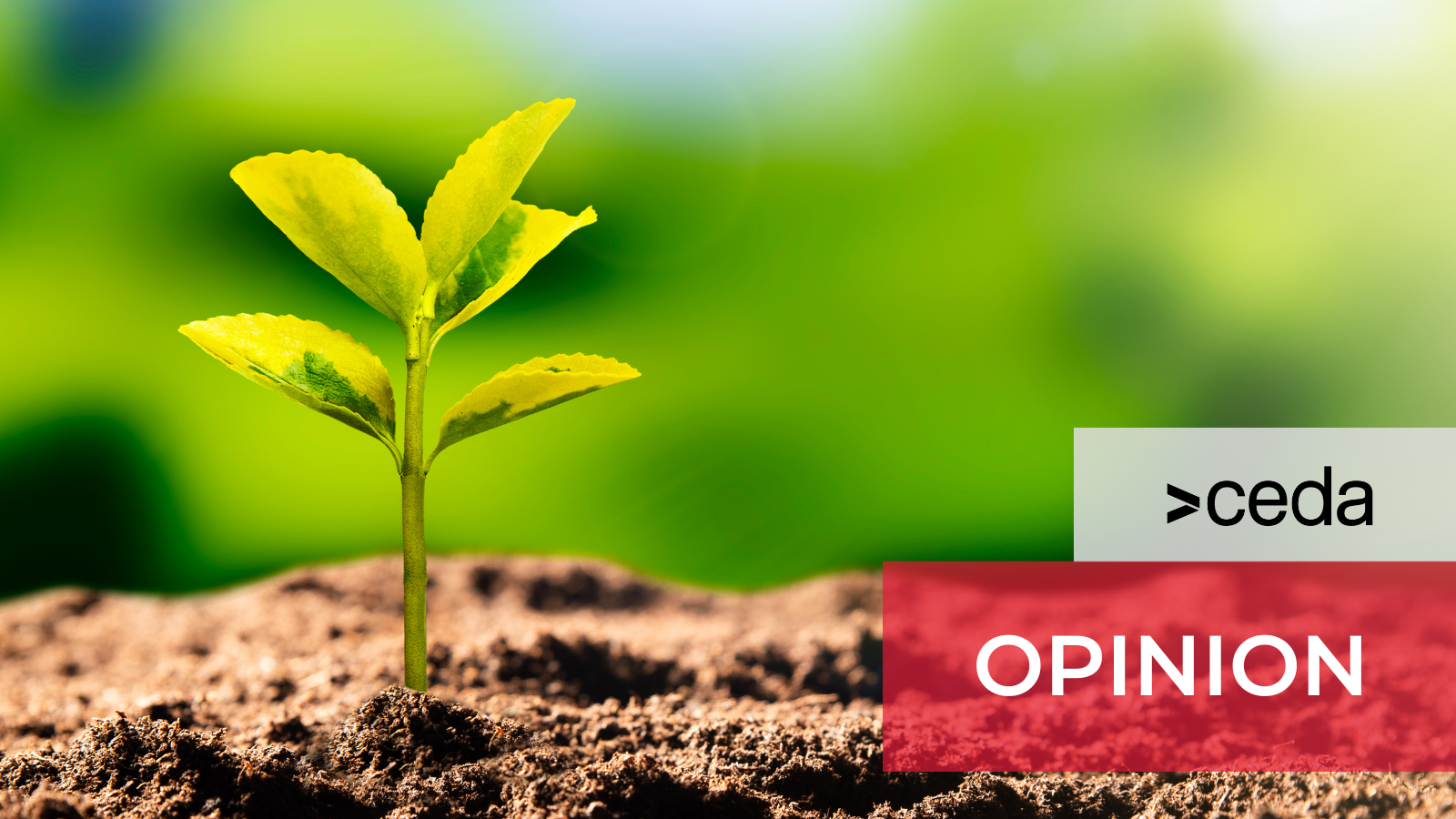 CEDA - Unlocking certainty: Why Australia must invest early to build smarter